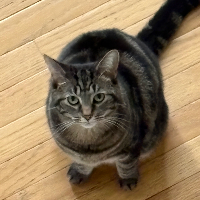 Daniel Byomujuni · GitLab